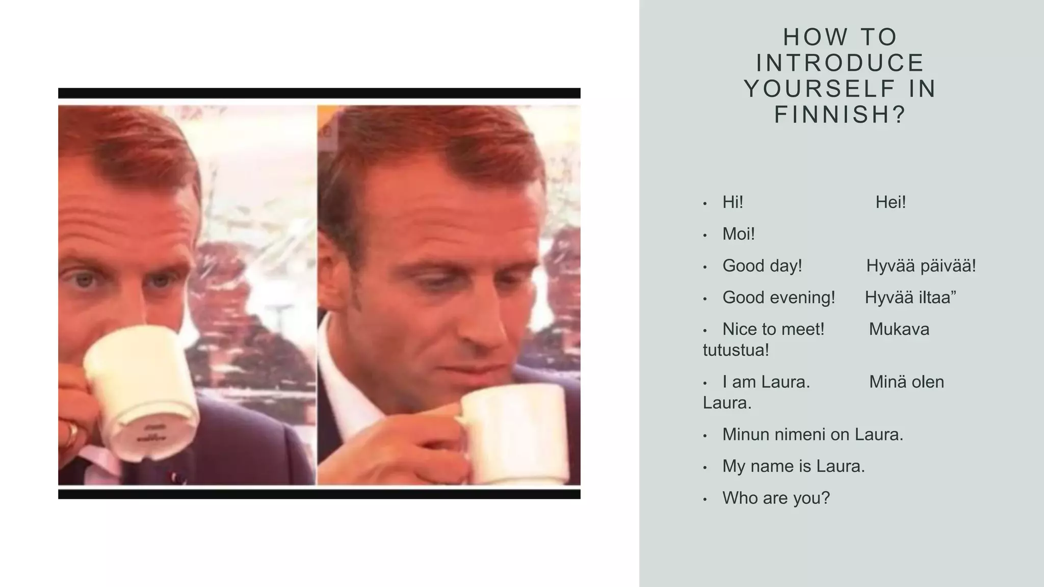 Finnish – the most difficult language in the | PPT