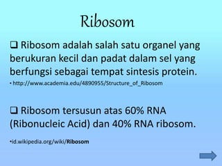 Ribosom dan Retikulum Endoplasma | PPTX