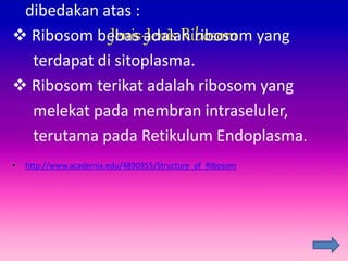 Ribosom dan Retikulum Endoplasma | PPTX