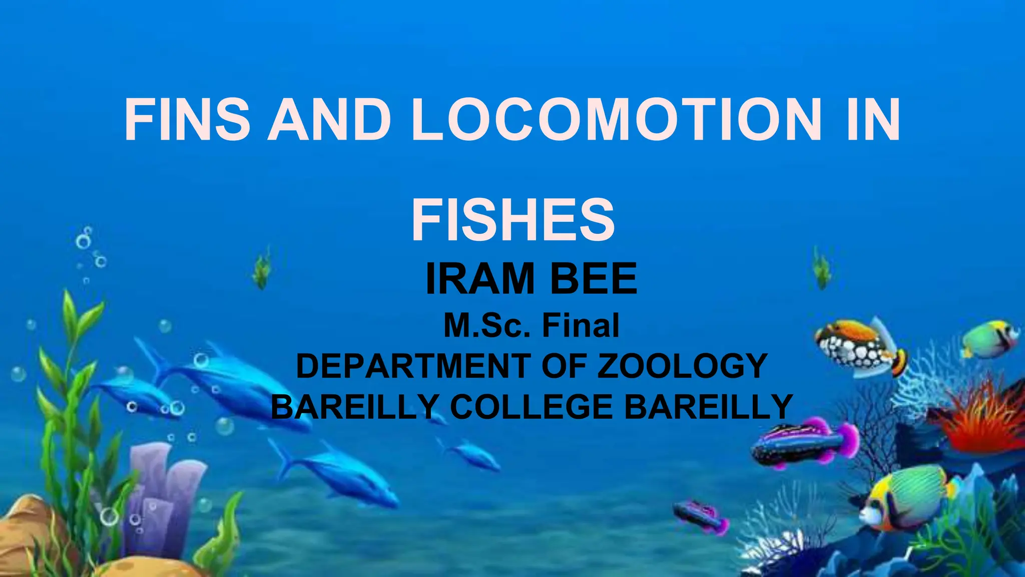 Fins and locomotion in fishes by Iram Bee M.Sc. II Year.pptx