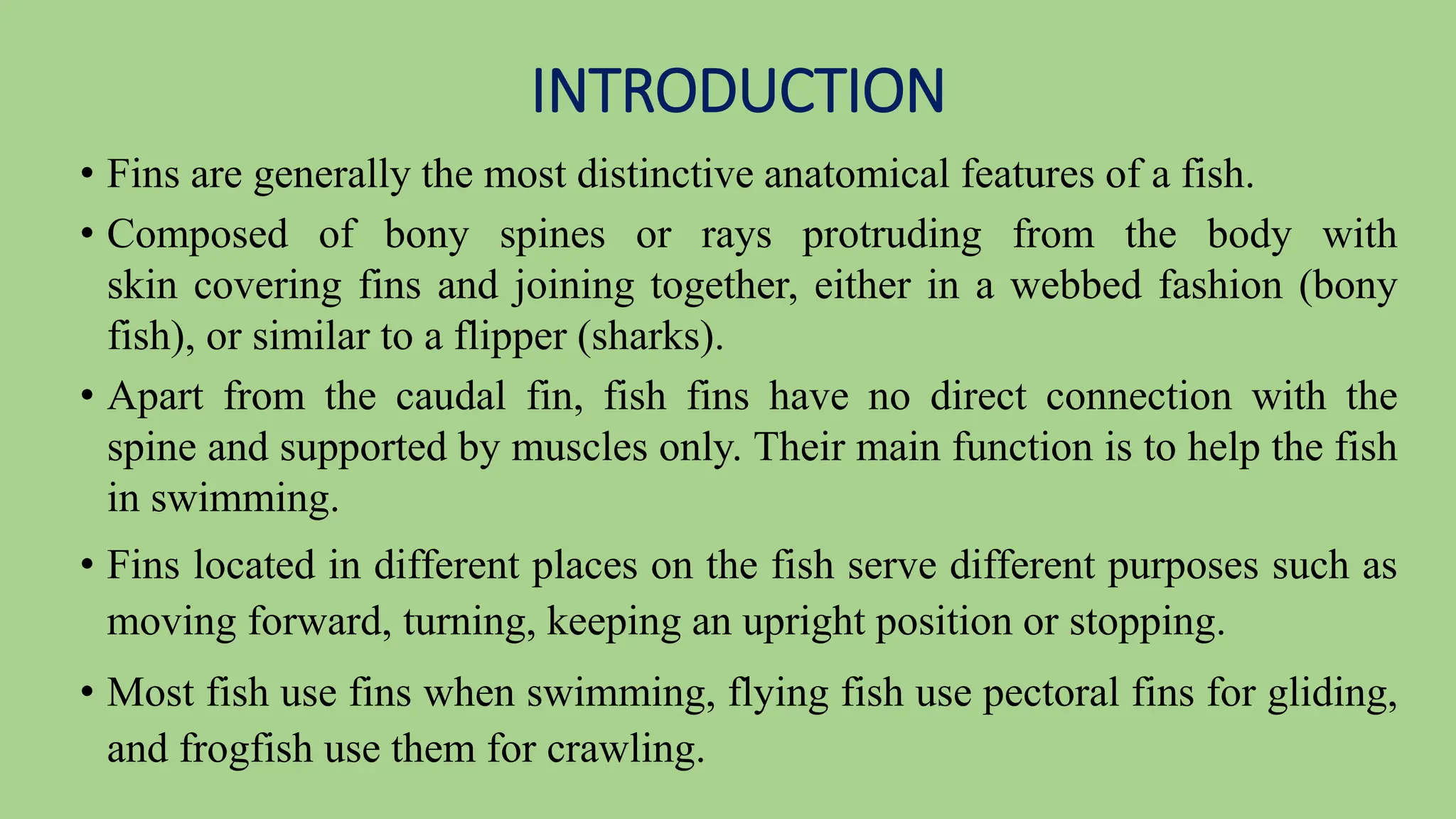 Fins and locomotion in fishes by Iram Bee M.Sc. II Year.pptx