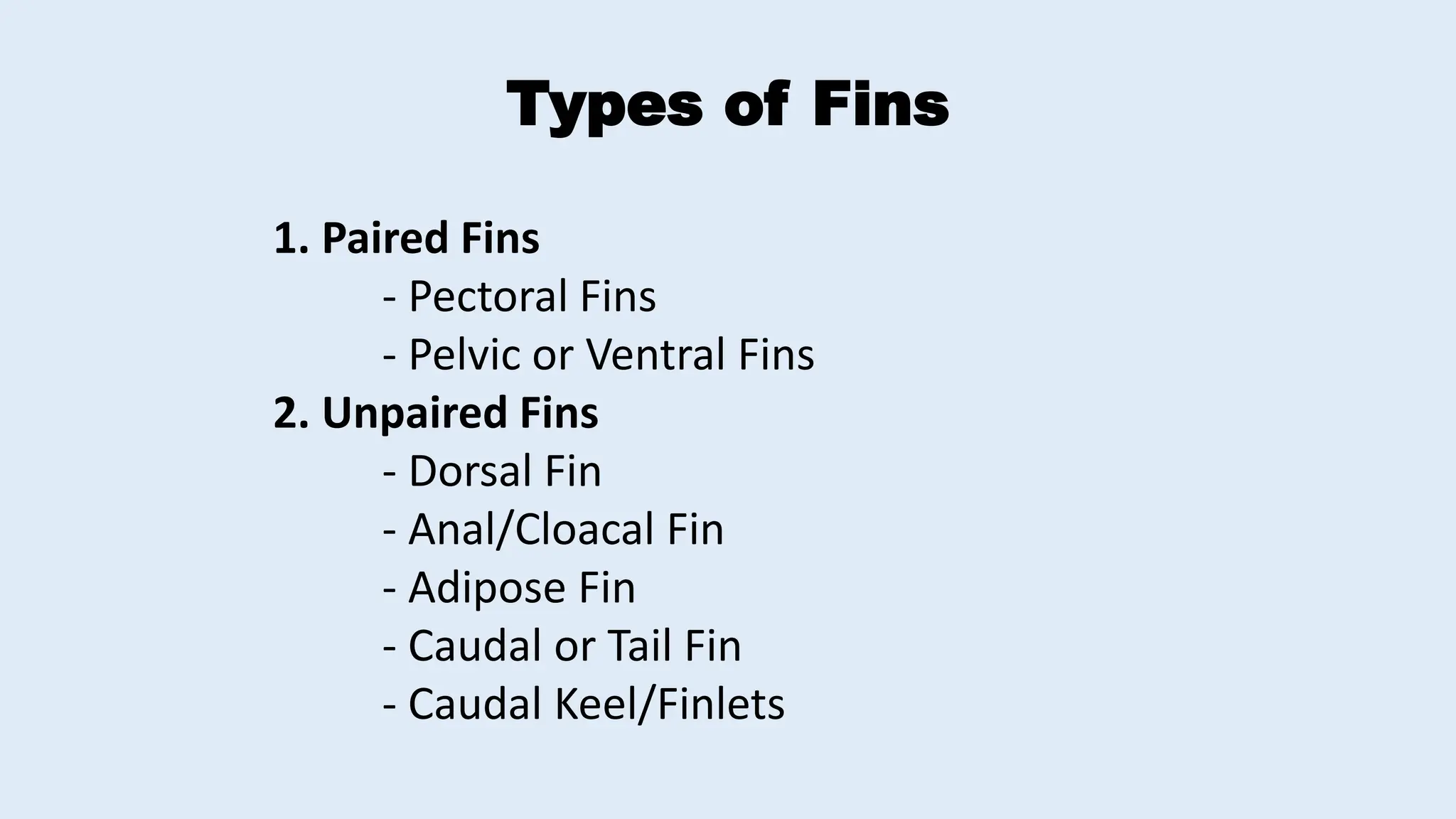 Fins and locomotion in fishes by Iram Bee M.Sc. II Year.pptx