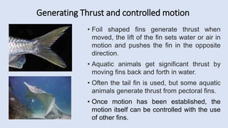 Fins and locomotion in fishes by Iram Bee M.Sc. II Year.pptx