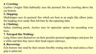 Fins and locomotion in fishes by Iram Bee M.Sc. II Year.pptx