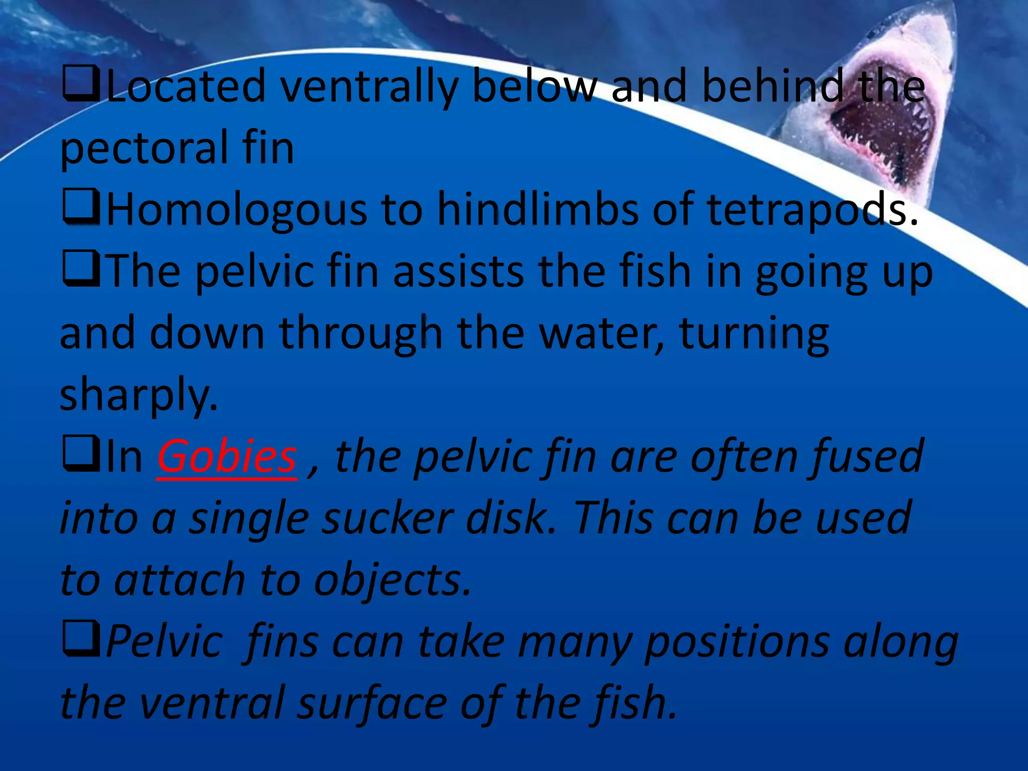 FINS IN FISHES ZOOLOGY.pptx