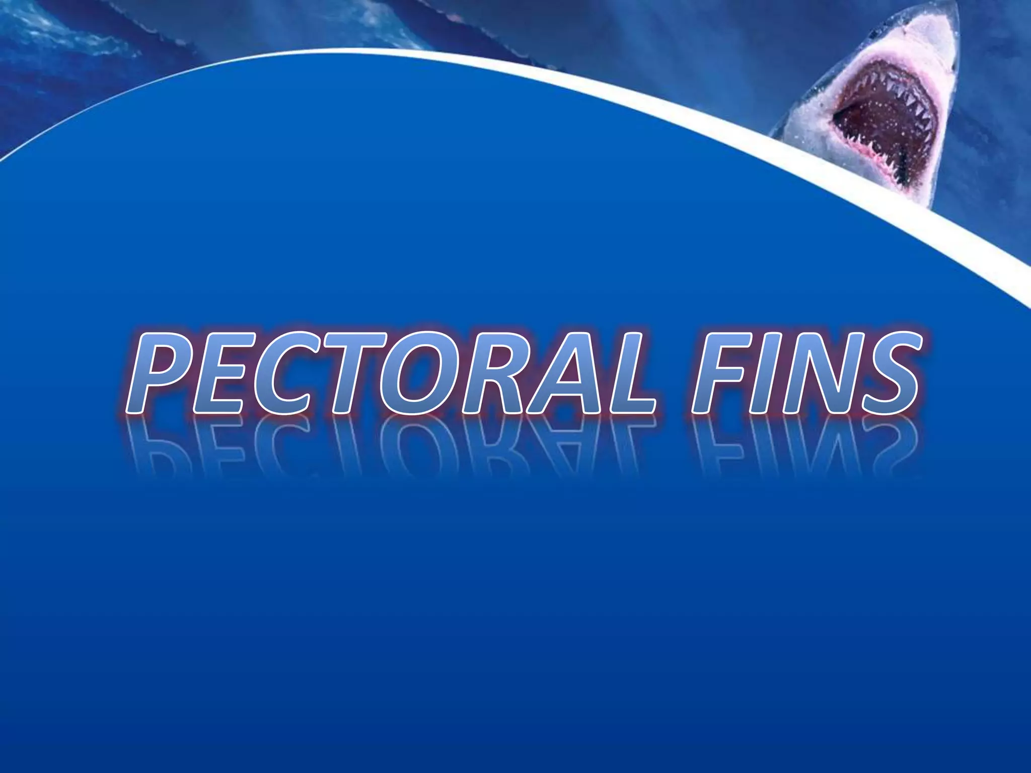 FINS IN FISHES ZOOLOGY.pptx