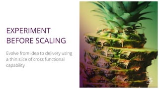 Developing Digital Mindsets - Fiona Phillips (ThoughtWorks Live) | PDF