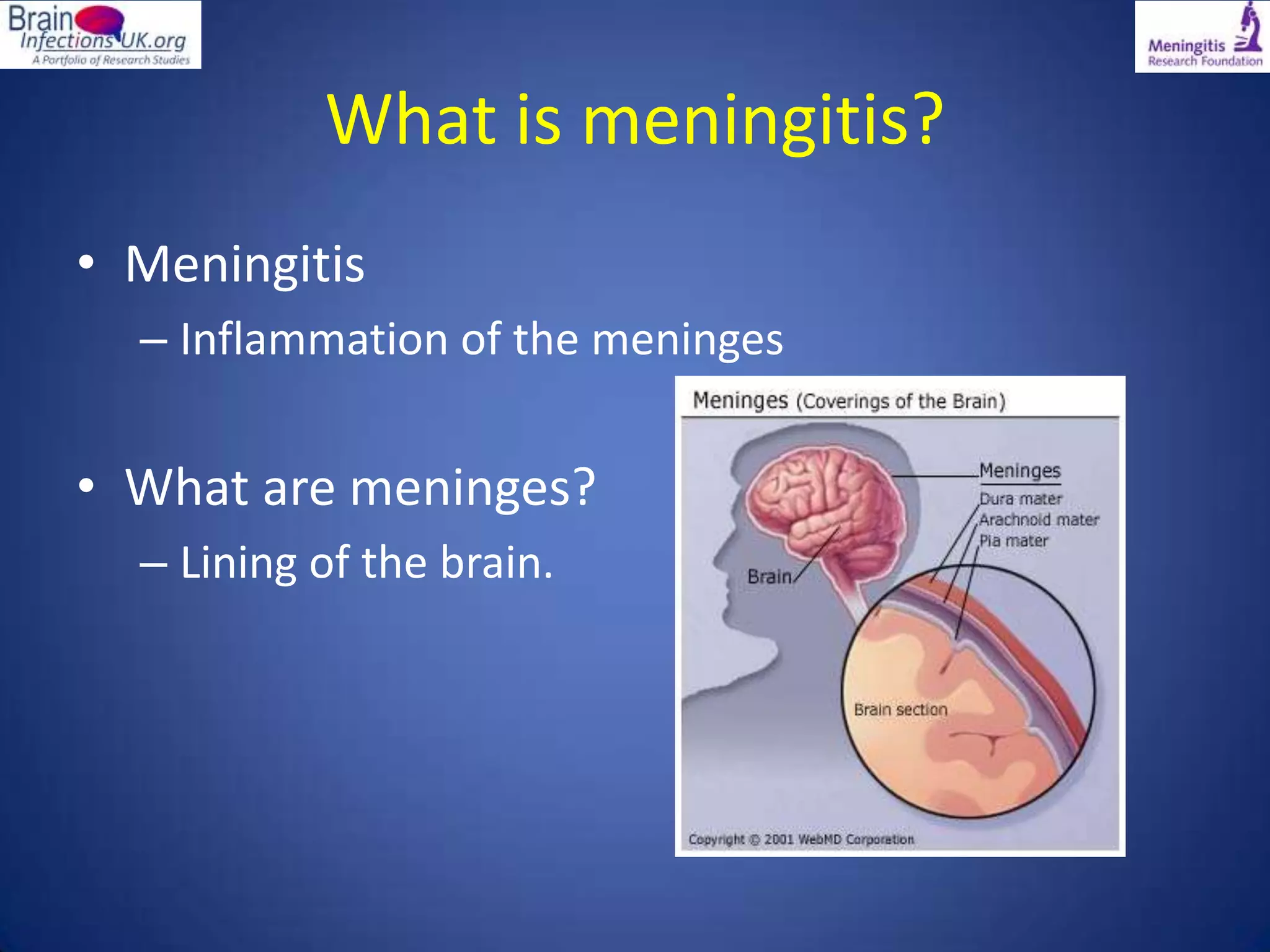 Viral Meningitis: A real pain in the neck by Dr Fiona McGill | PPT
