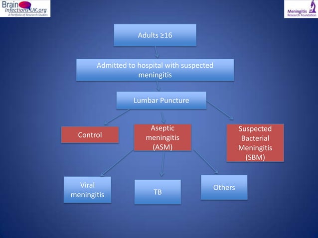 Viral Meningitis: A real pain in the neck by Dr Fiona McGill | PPTX ...