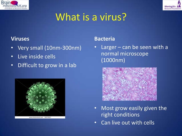 Viral Meningitis: A real pain in the neck by Dr Fiona McGill | PPTX ...