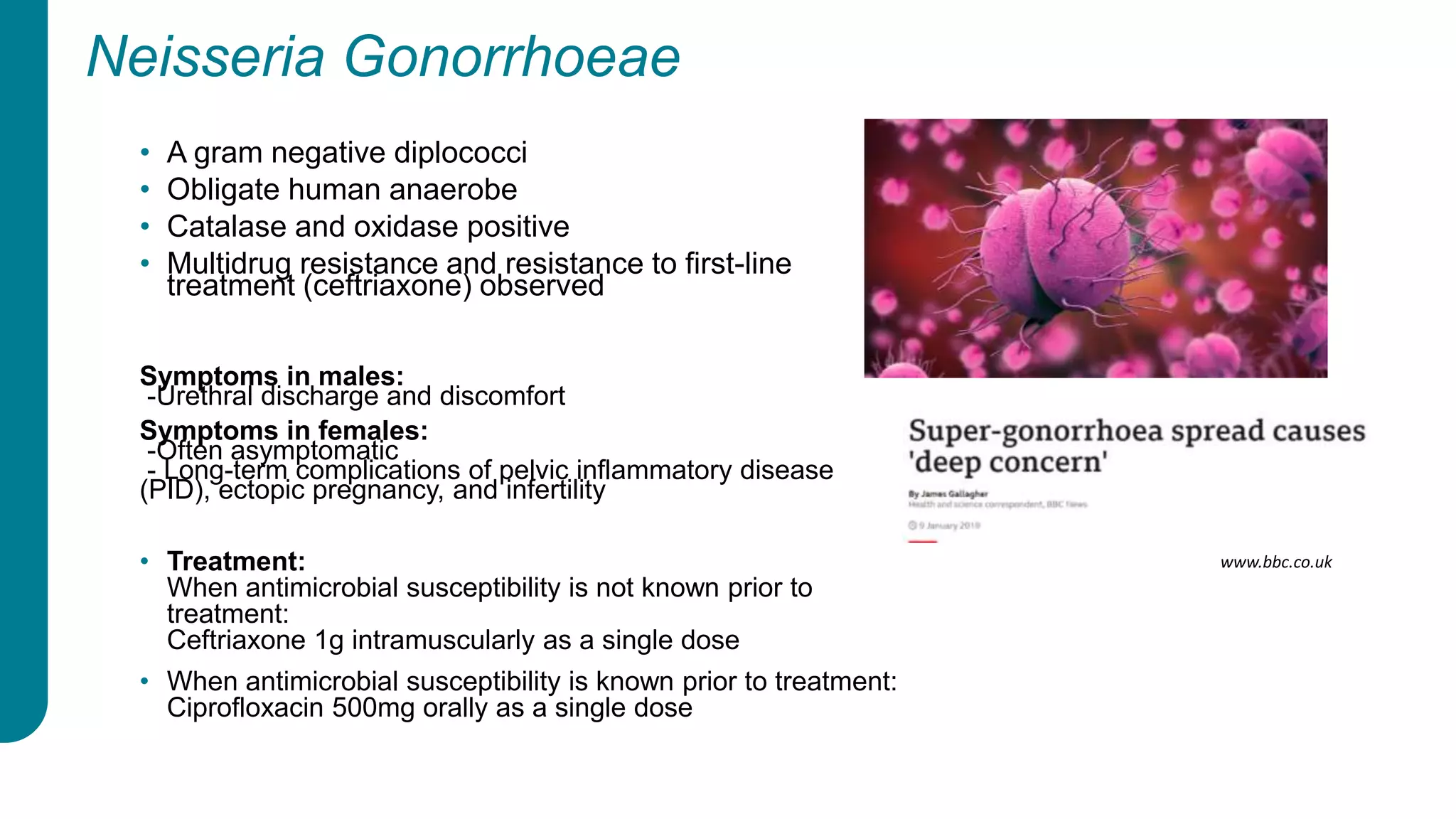 Fiona Young Presentation final.pptx