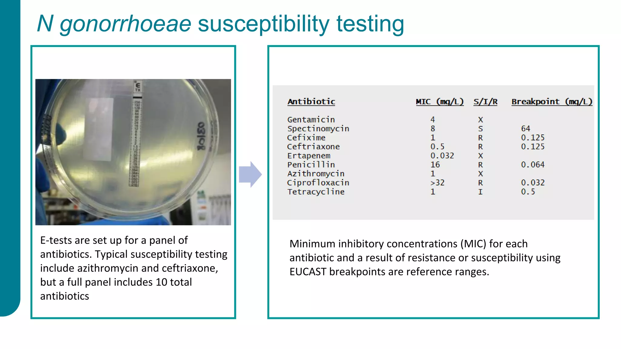Fiona Young Presentation final.pptx