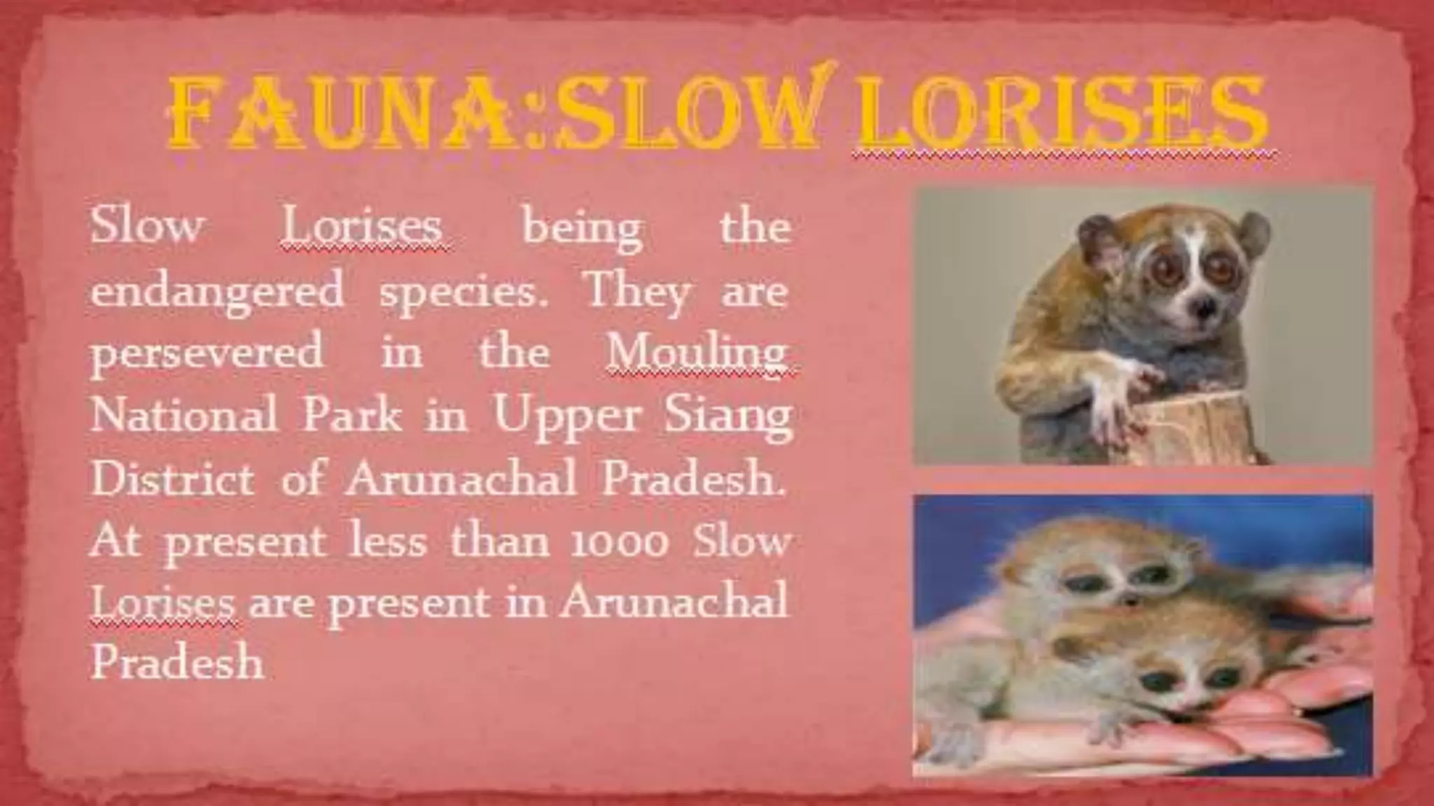 FLAURA AND FAUNA OF ARUNACHAL PRADESH P.P.T. | PPTX