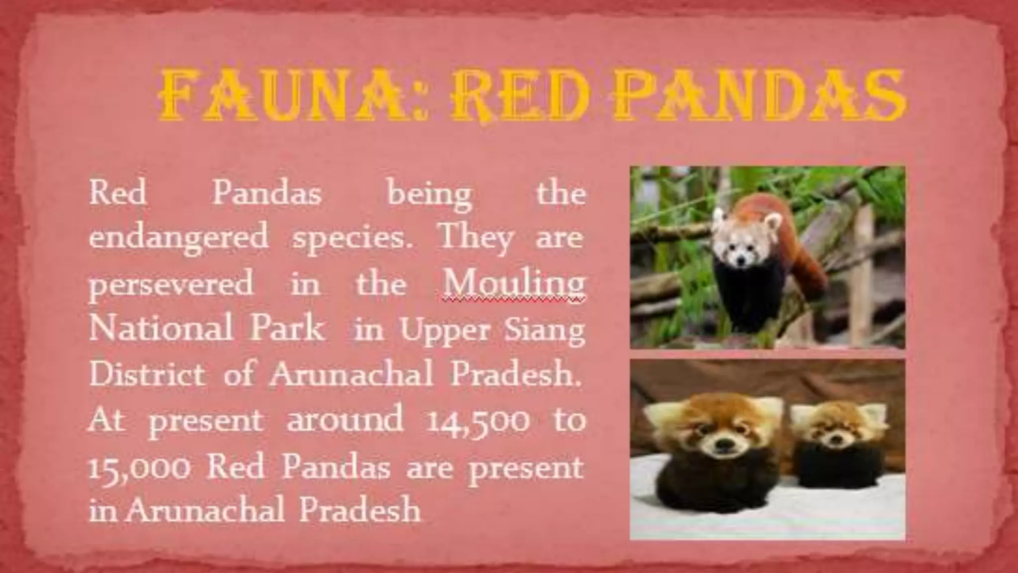 FLAURA AND FAUNA OF ARUNACHAL PRADESH P.P.T. | PPTX