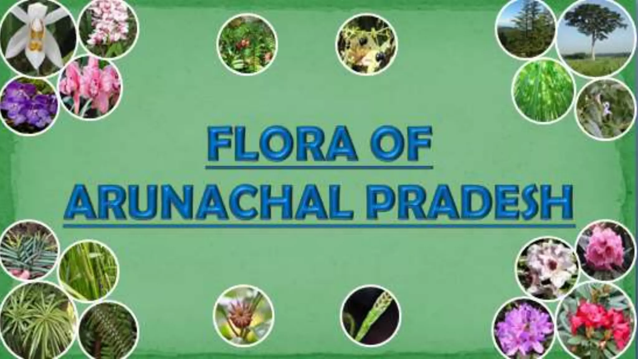FLAURA AND FAUNA OF ARUNACHAL PRADESH P.P.T. | PPTX