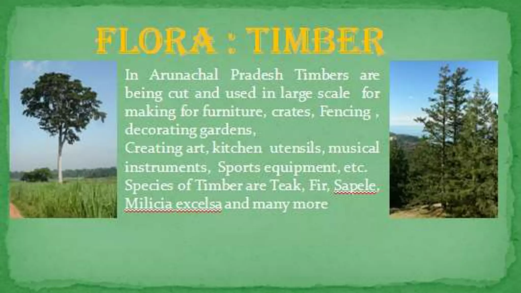 FLAURA AND FAUNA OF ARUNACHAL PRADESH P.P.T. | PPTX