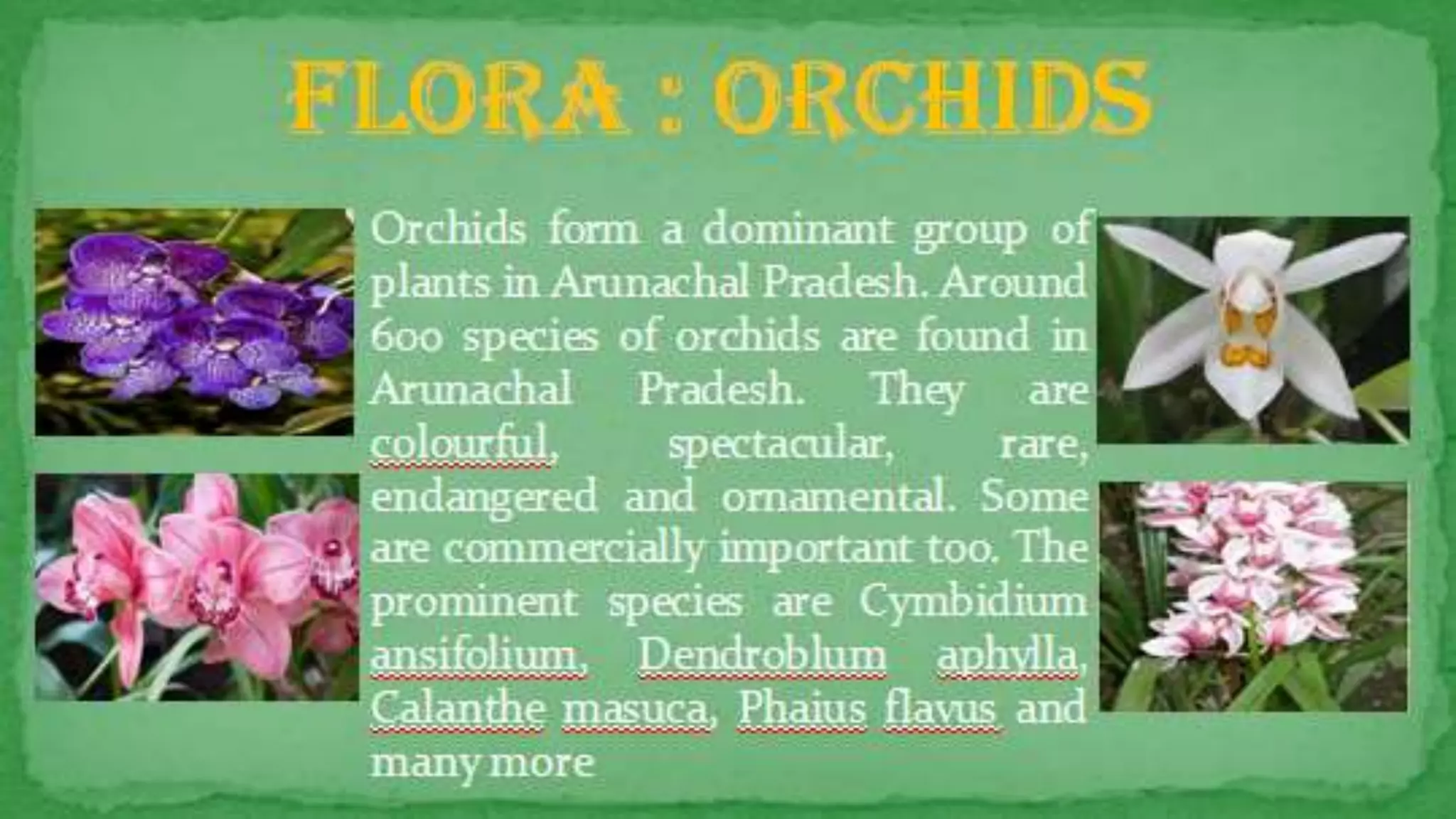 FLAURA AND FAUNA OF ARUNACHAL PRADESH P.P.T. | PPTX