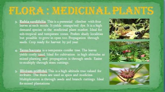 FLAURA AND FAUNA OF ARUNACHAL PRADESH P.P.T. | PPTX