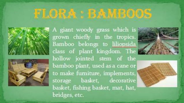 FLAURA AND FAUNA OF ARUNACHAL PRADESH P.P.T. | PPTX