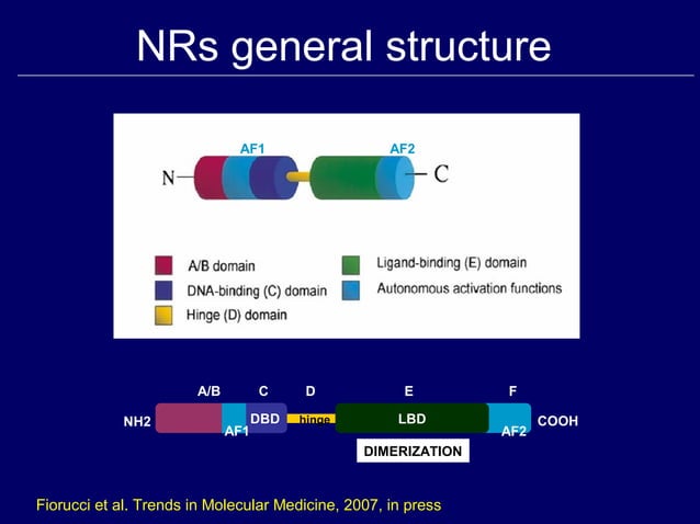 Role of FXR and other nuclear receptors in liver fibrosis - Prof ...