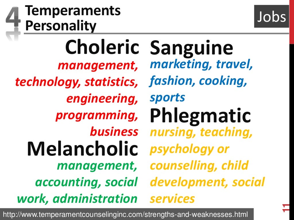 4 Temperament Personality | PPTX