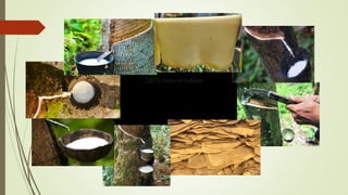 SLIPPERS/GROUP 10 ALTER EGO/ UKM | PPT