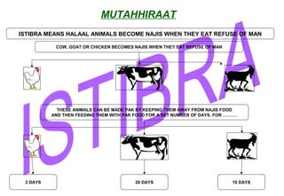 Fiqh mutahhiraat | PPT