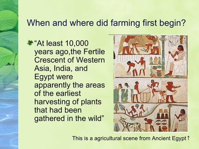 Farming Inquiry Questions | PPT