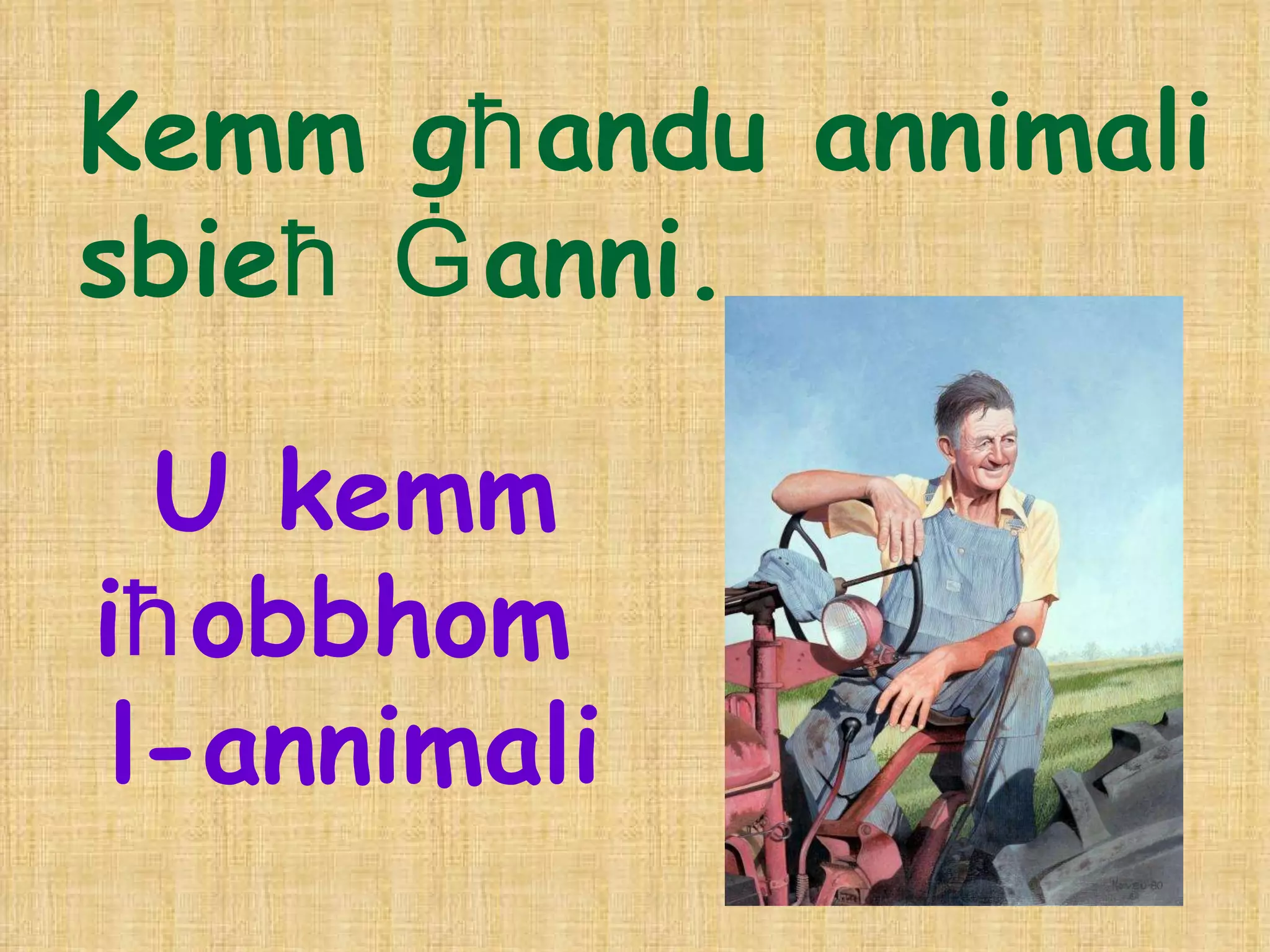 Fir razzett-maskil-u-femminil | PPT