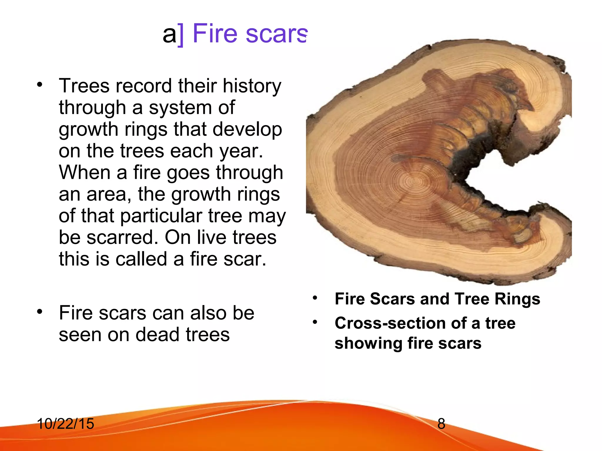 Fire | PPT