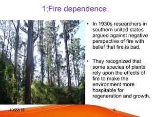 Fire | PPT
