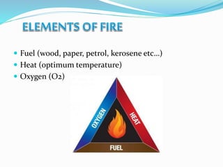 Fire | PPTX
