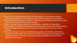 Fire.pptx