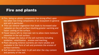 Fire.pptx