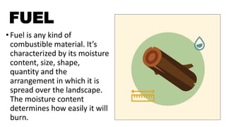 Elements and composition of fire and things to remember when there's a ...