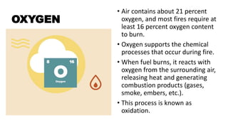 Elements and composition of fire and things to remember when there's a ...