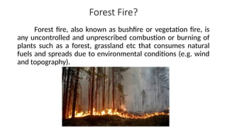 Traditional Practice of forest fire management in Assam | PPTX