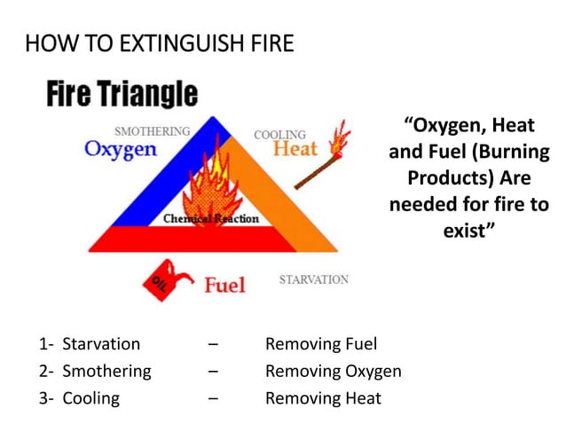 Fire safety Training / Guidelines presentation | PPTX | First Aid ...