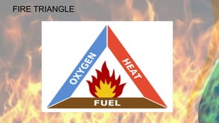 FIRE AND EARTHQUAKE DRILL-ppt 2024-25.pptx
