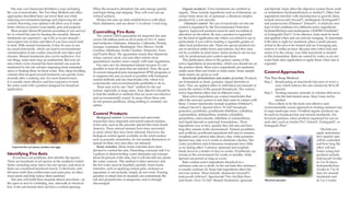 Fire Ant Control - Two Step Method | PPT