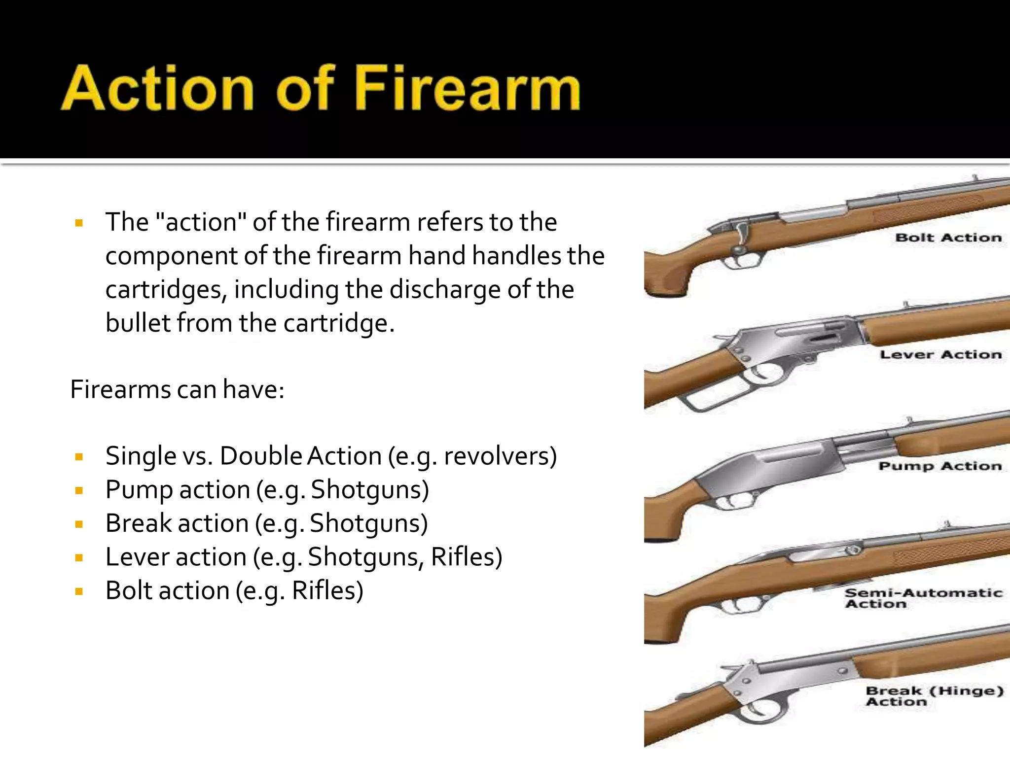 firearm-200509151825.pptx