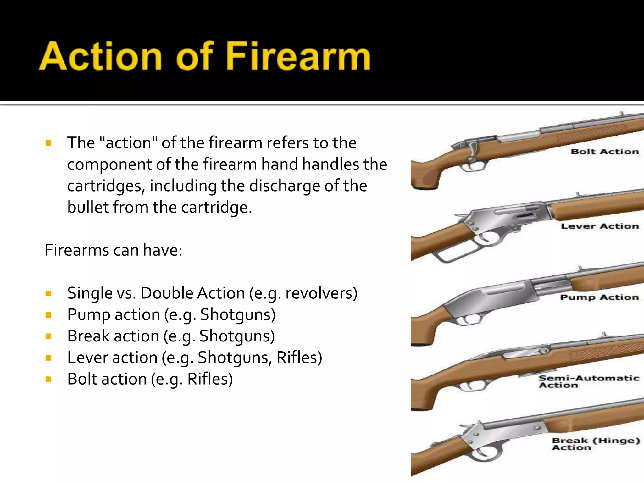 Firearm | PPTX