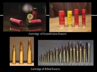 Firearm | PPTX