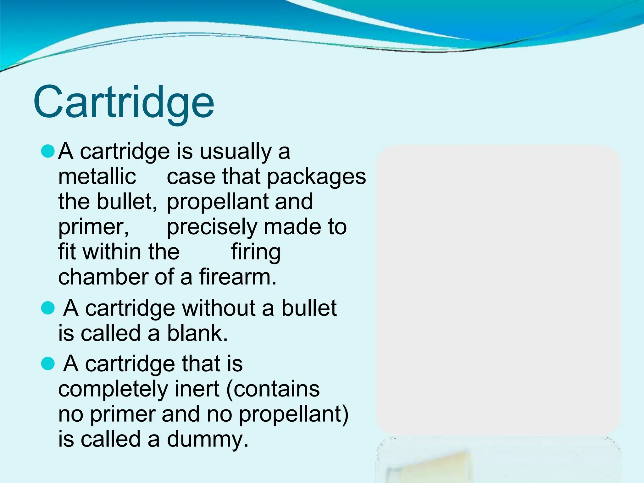 Shotgun and Rifle Cartridge's Ballistics | PPTX