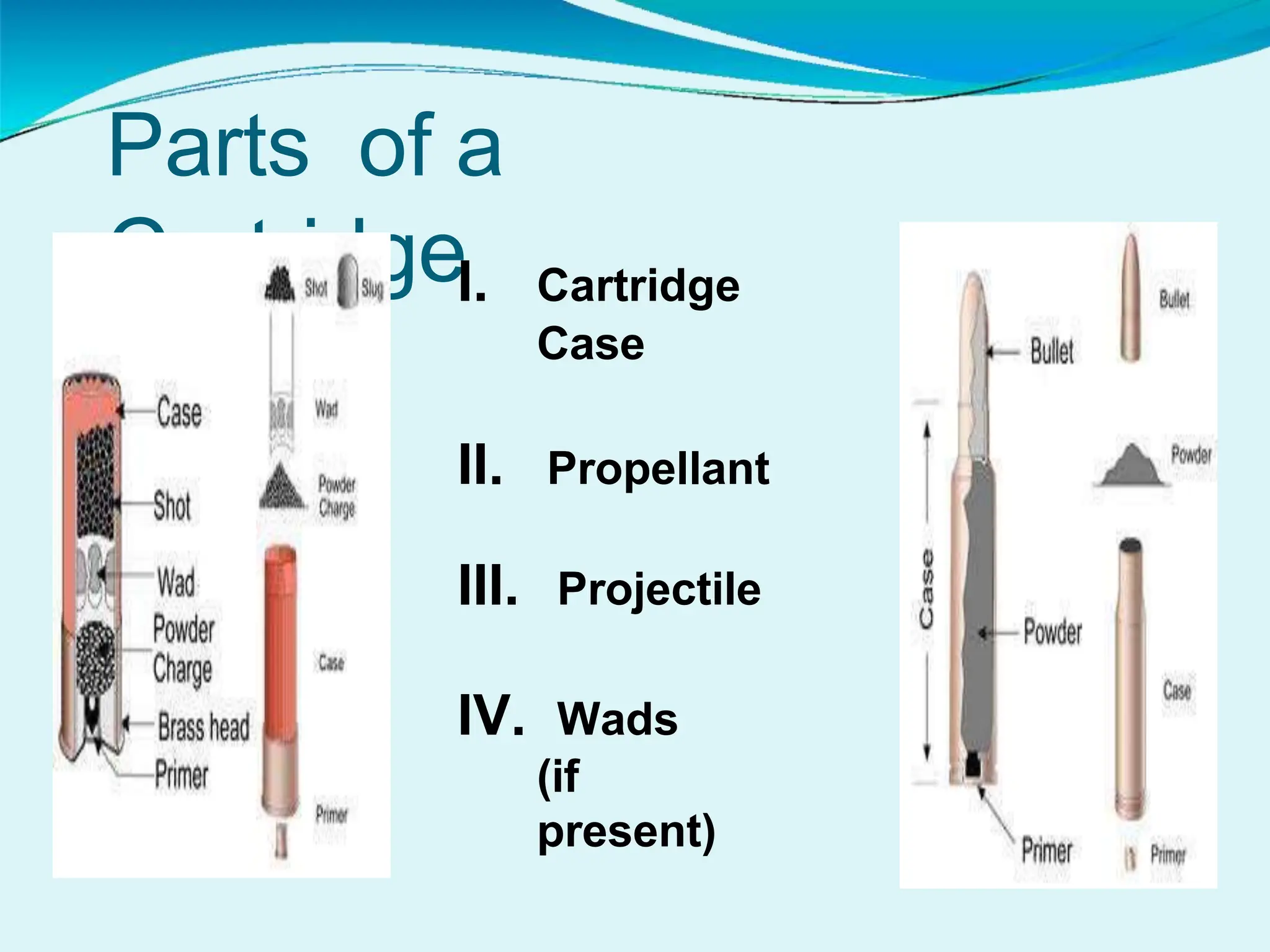 Shotgun and Rifle Cartridge's Ballistics | PPTX