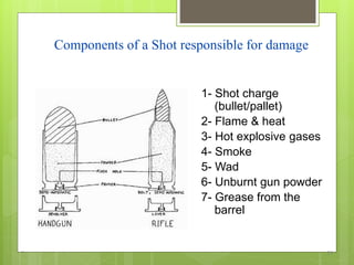 Firearm-Wounds.pptx