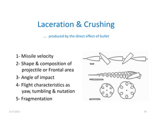 Firearm-Wounds.ppt | Arms & Ammunition | Sensitive Topics