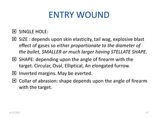 Firearm-Wounds.ppt | Arms & Ammunition | Sensitive Topics