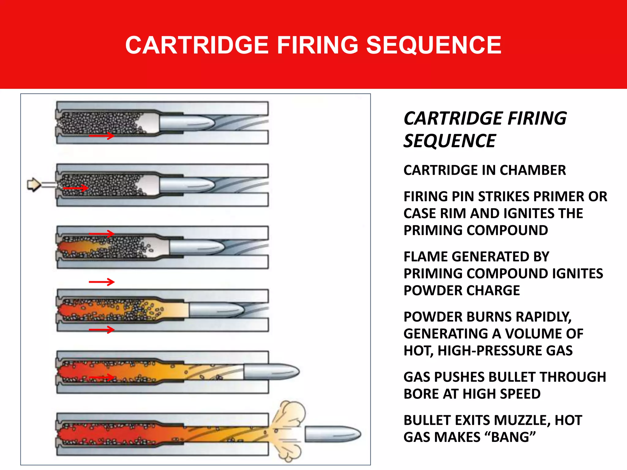 Firearm injuries | PPTX