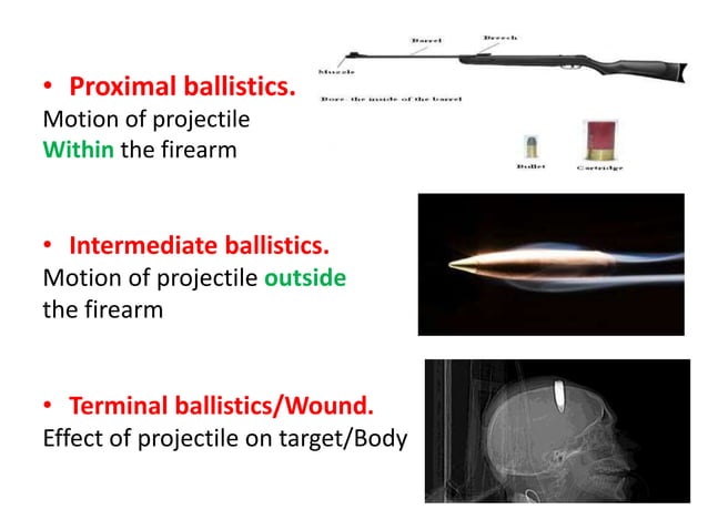 Firearm injuries | PPTX